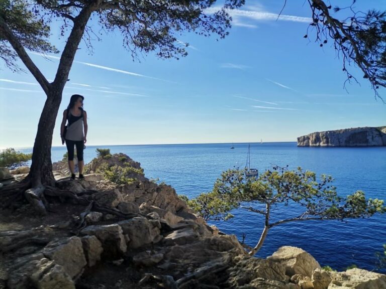 From Marseille: Calanques National Park Guided Hike - What We Think About the Price and Overall Value