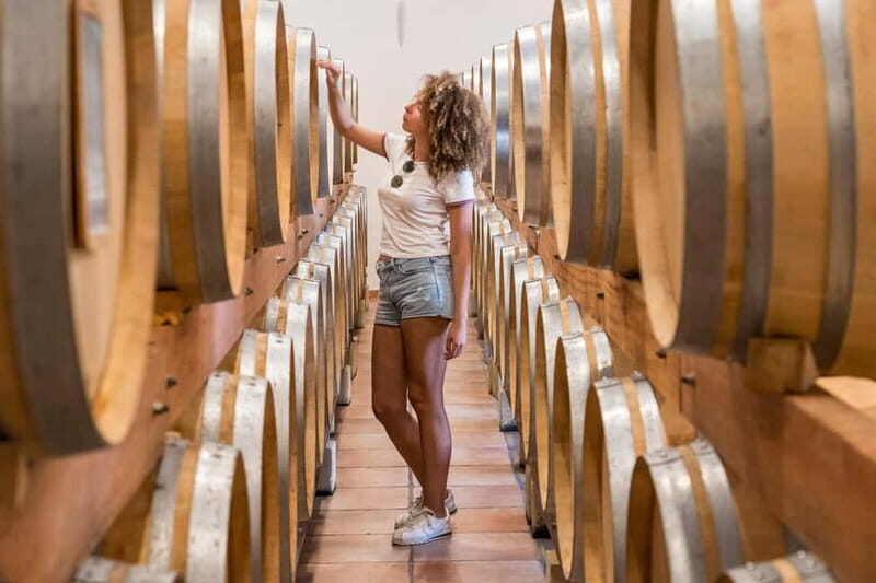 From Marseille Cruise Port : Avignon & Wine Tasting - Practical Details & Tips