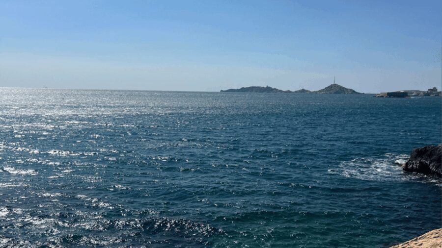 From Marseille to Cassis: a journey to the heart of the calanques and traditions. - Who Should Take This Tour?