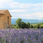 From Marseille: Wine and Scenery around Aix-en-Provence - Key Points