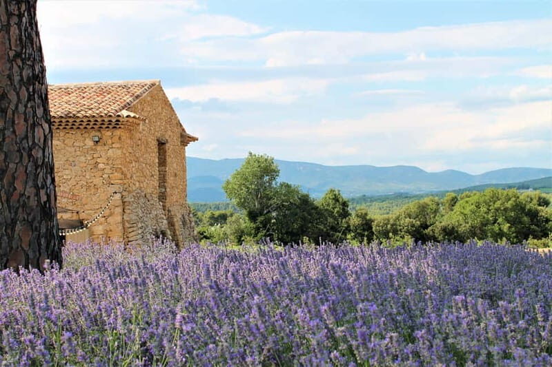 From Marseille: Wine and Scenery around Aix-en-Provence - Key Points
