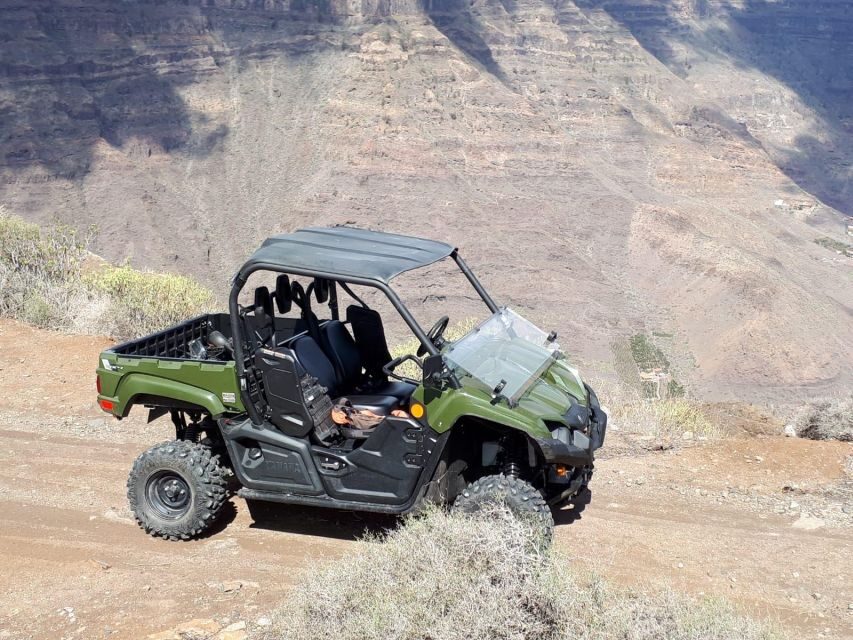 From Maspalomas: Volcanic Landscapes 4-Seater Buggy Tour - Exploring the Details of the Buggy Adventure