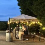 From Matera: Half-Day Wine Tour to Ginosa with Tasting - Final Summary