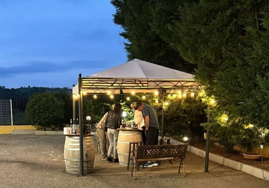 From Matera: Half-Day Wine Tour to Ginosa with Tasting - Final Summary
