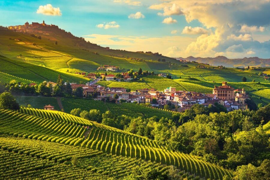 From Milan: Barolo Wine Tasting, Alba Tour and Castle Visit - Who Will Love This Tour?