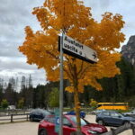 From Milan: Harley Davidson motorcycle tour in 5 countries unique experience! - What Does It All Cost? Is It Worth It?