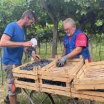 From Milan to Venice, through the Amarone region, Lunch & Verona - The Sum Up: Who Will Appreciate This Tour?