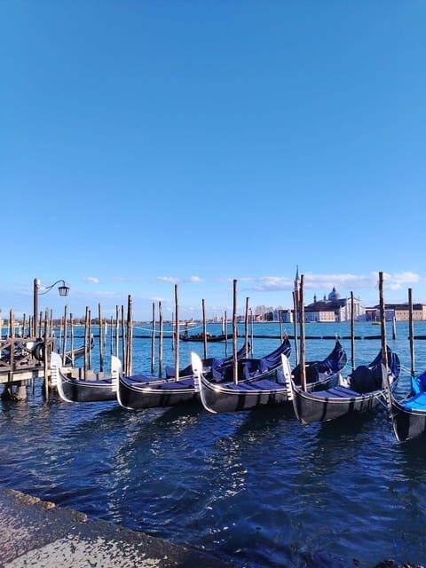 From Milan: Venice City Highlights Guided Day Trip - Practical Details and Tips