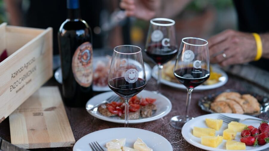 FROM MONTECATINI TERME: E-BIKE TOUR WITH WINE TASTING - Overall Value and Experience