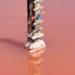 From Montpellier: Camargue and Salt Marshes Guided Tour - Who Will Appreciate This Tour?