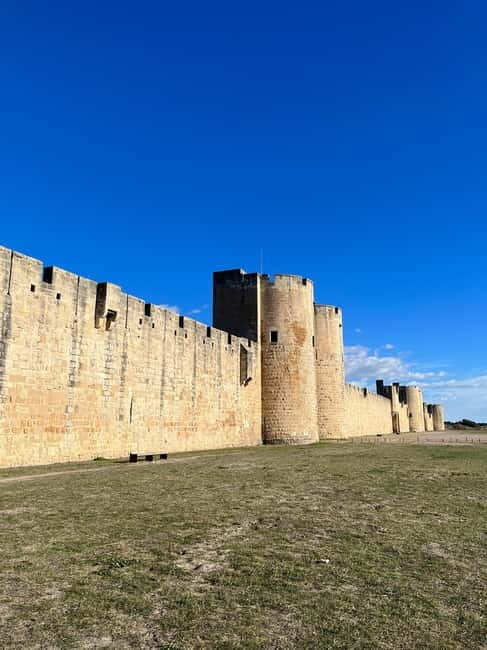 From Montpellier: Visit of Camargue and Aigues-Mortes - Practical Tips for Travelers