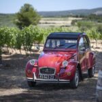 From Montpellier: Winery Tour in a Vintage Citroën 2CV - The Allure of the Languedoc: Why This Region?