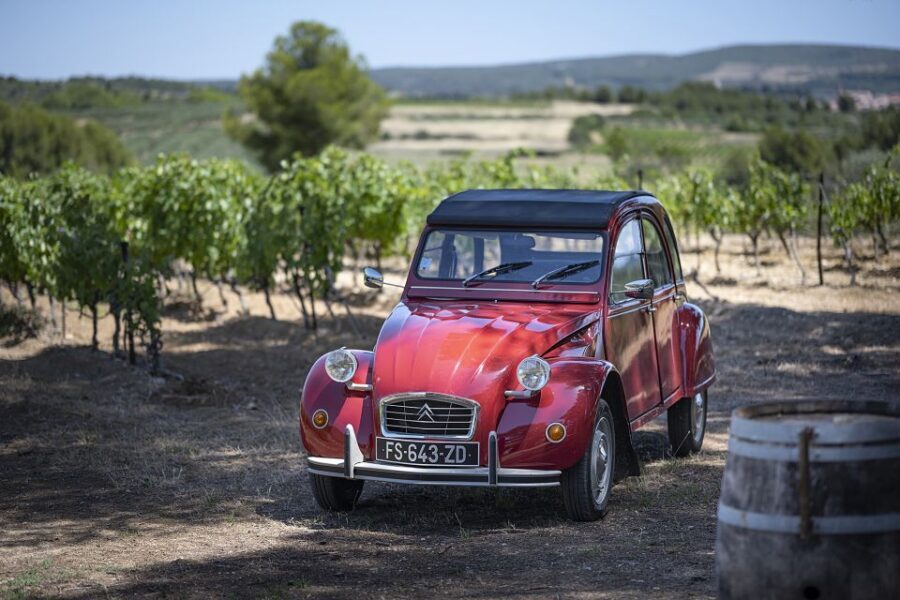 From Montpellier: Winery Tour in a Vintage Citroën 2CV - The Allure of the Languedoc: Why This Region?