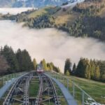 From Montreux, Bern or Fribourg : Gruyères region TOUR - The Practical Side