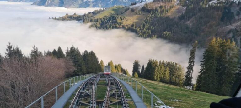 From Montreux, Bern or Fribourg : Gruyères region TOUR - The Practical Side