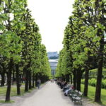 From Munich: Salzburg Day Trip by Train - Transportation and Group Size