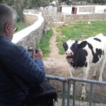From Mykonos: Ano Mera Farm Tour - A Closer Look at the Itinerary