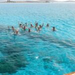 From Mykonos: Cruise to Delos and Rhenia with Lunch - Who Should Consider This Tour?