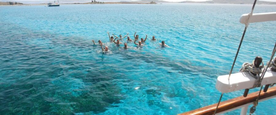From Mykonos: Cruise to Delos and Rhenia with Lunch - Who Should Consider This Tour?