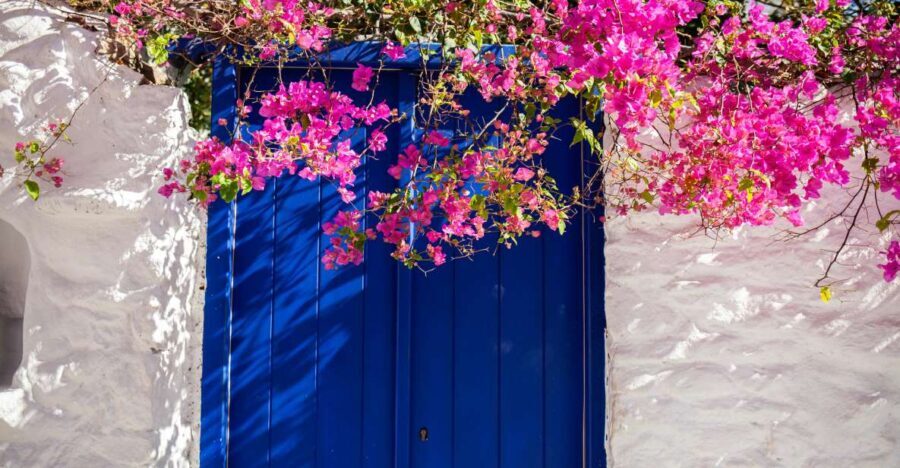 From Mykonos Town: Guided Sightseeing Tour with Windmills - What’s Included and What’s Not