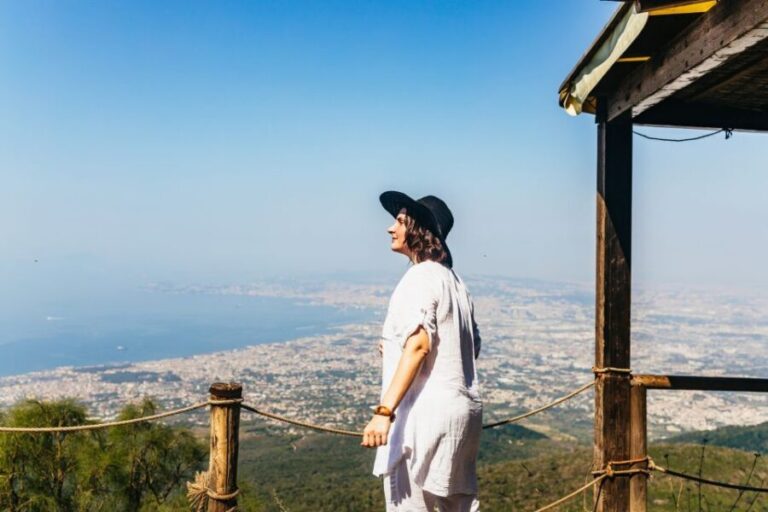 From Naples: All-Inclusive Mount Vesuvius Half-Day Tour - The Breakdown of the Experience