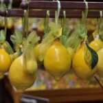 From Naples: Amalfi and Positano Panoramic Ferry Trip - Who Will Love This Tour?