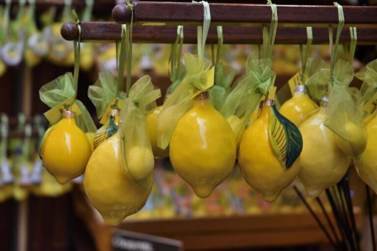 From Naples: Amalfi and Positano Panoramic Ferry Trip - Who Will Love This Tour?