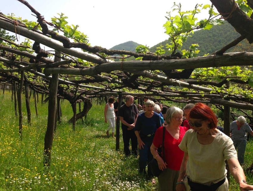 From Naples: Amalfi Coast Tour and Wine Tasting with Lunch - Introduction: Experience the beauty of Italy’s coastline without the hassle