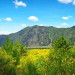 From Naples: Herculaneum, Vesuvius, and Pompeii Trip - What Does The Price Cover?