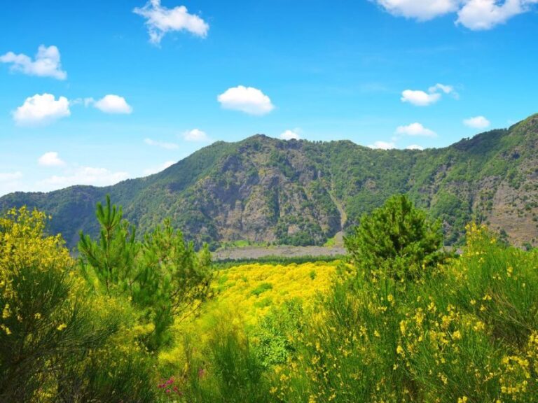 From Naples: Herculaneum, Vesuvius, and Pompeii Trip - What Does The Price Cover?