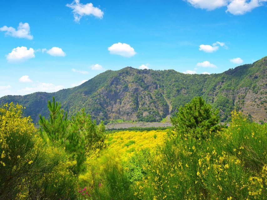 From Naples: Herculaneum, Vesuvius, and Pompeii Trip - What Does The Price Cover?