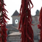 From Naples: Irpinia Wine Tour with 6 Tastings - The Authentic Experience We Value