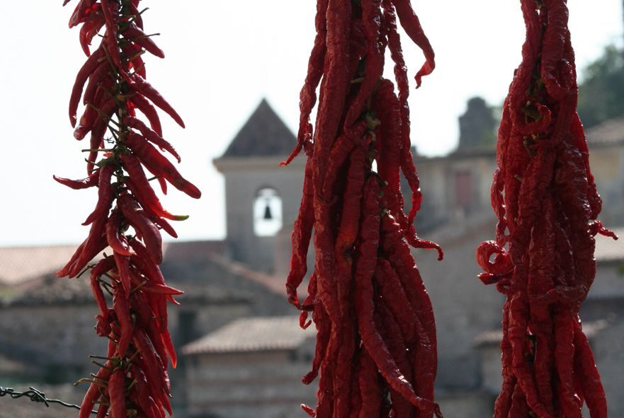 From Naples: Irpinia Wine Tour with 6 Tastings - The Authentic Experience We Value