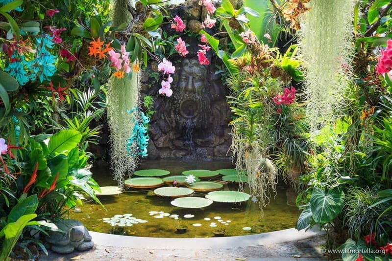 From Naples: Ischia and La Mortella Gardens Day Trip - The Cultural Corners