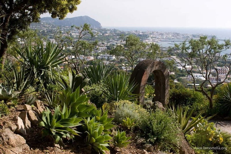 From Naples: Ischia, La Mortella Gardens Day Trip with lunch - What Travelers Say: Authentic Feedback
