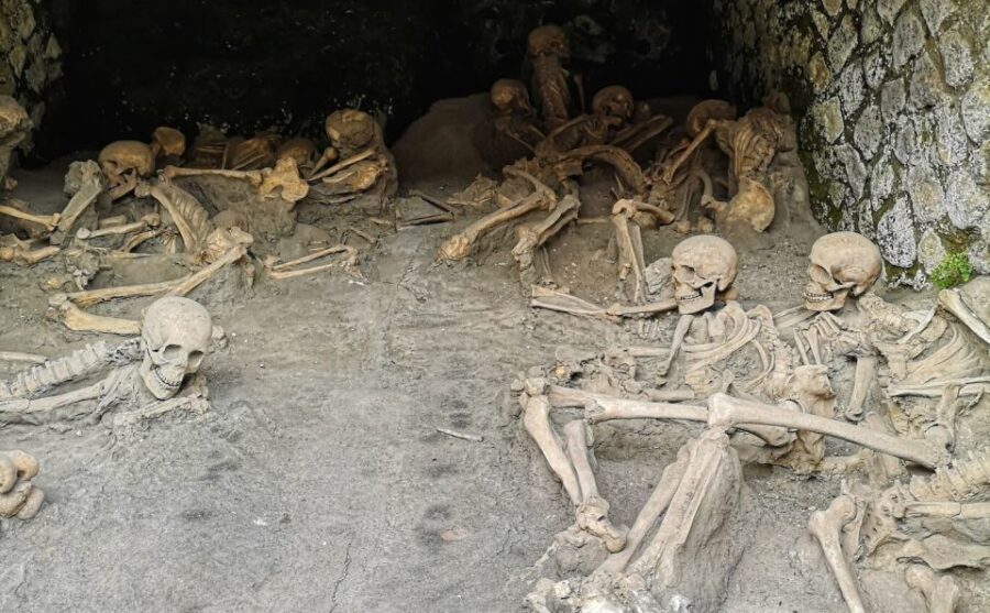 From Naples: Pompeii and Herculaneum Half-Day Private Trip - The Experience: A Deep Dive into the Tour