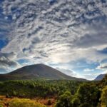 From Naples: Pompeii and Vesuvius Full-Day Tour with Lunch - Detailed Breakdown of the Itinerary