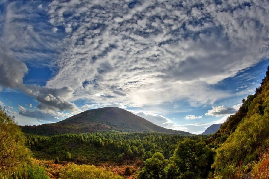From Naples: Pompeii and Vesuvius Full-Day Tour with Lunch - Detailed Breakdown of the Itinerary