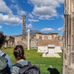 From Naples: Pompeii Private Tour with Transfer and Guide - An In-Depth Look at Pompeii’s Ruins