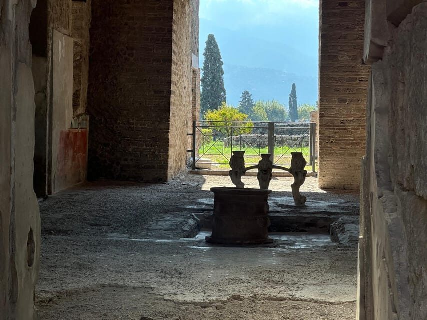 From Naples: Pompeii Ruins & Naples Walking Tour - Walking Tour of Naples