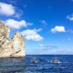 From Naples: Private Tour of Capri and Anacapri - Who Should Book This Tour?