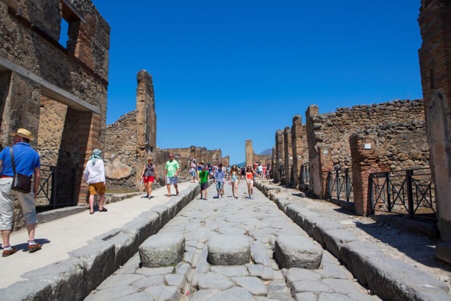 From Naples: Private tour of Pompei, Sorrento & Positano - Who Is This Tour Best Suited For?
