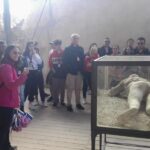 From Naples: Ruins of Pompeii with Archaeologist - In-Depth Review of the Pompeii Guided Tour