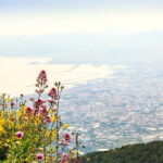From Naples: Vesuvius Easy Tour - Transportation and Logistics