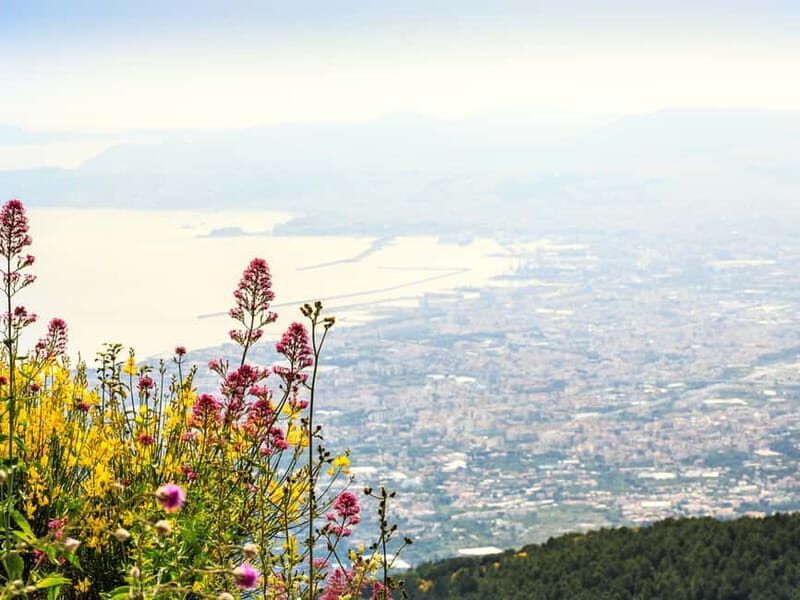 From Naples: Vesuvius Easy Tour - Transportation and Logistics