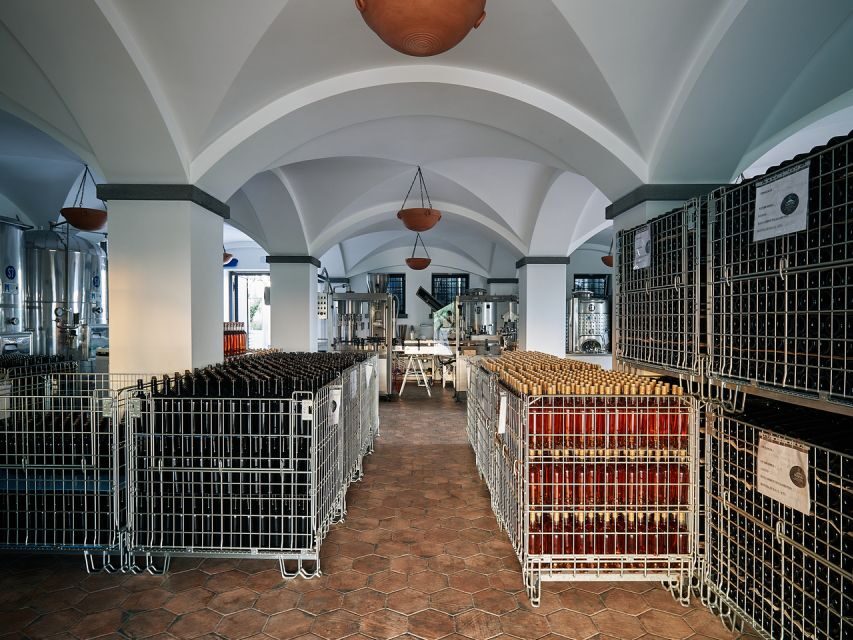 From Naples: Wine Tasting Tour on Vesuvius Slopes with Lunch - Who Will Love This Tour?