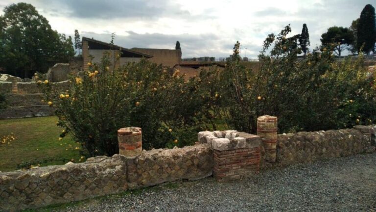 From Naples with 2hr stop at Herculaneum site and Back - Breakdown of the Itinerary