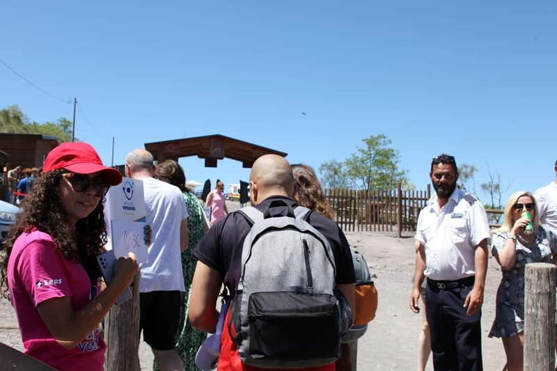 From Naples_Mount Vesuvius Bus Transfer with Audioguide - Who Will Enjoy This Tour?