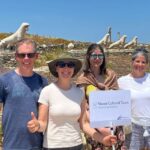 From Naxos: Delos and Mykonos Day Trip with Licensed Guide - Transportation & Logistics