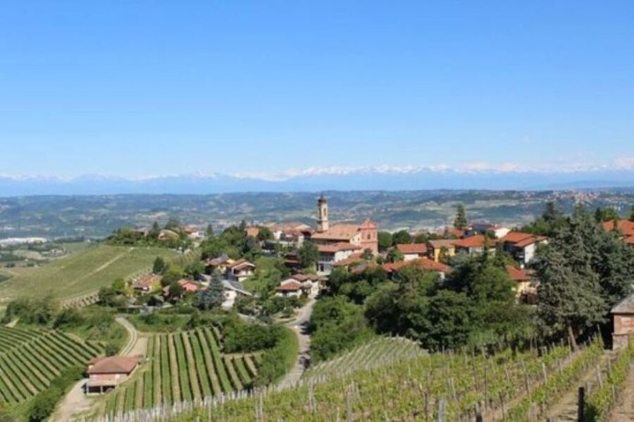 From Neive: Guided E-Bike Tour to Barbaresco and Treiso - An Honest Look at the Piedmont E-Bike Experience